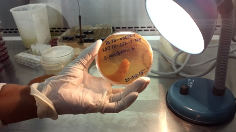 New evidence for scope and treatment of typhoid fever in Bangladesh